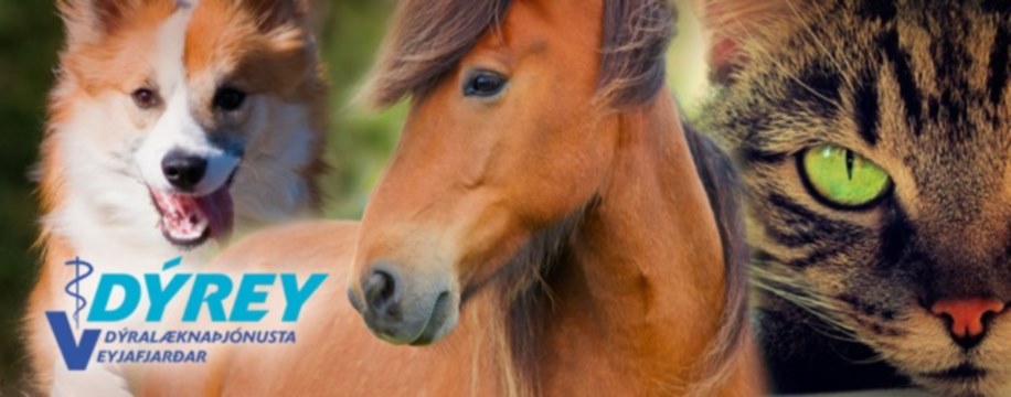 Dýralæknaþjónusta Eyjafjarðar ehf - Já.is